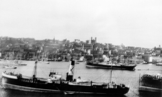 "Imogene" (Ship), "Beothic" (Ship) and "Blue Peter" (Ship) at St. John ...